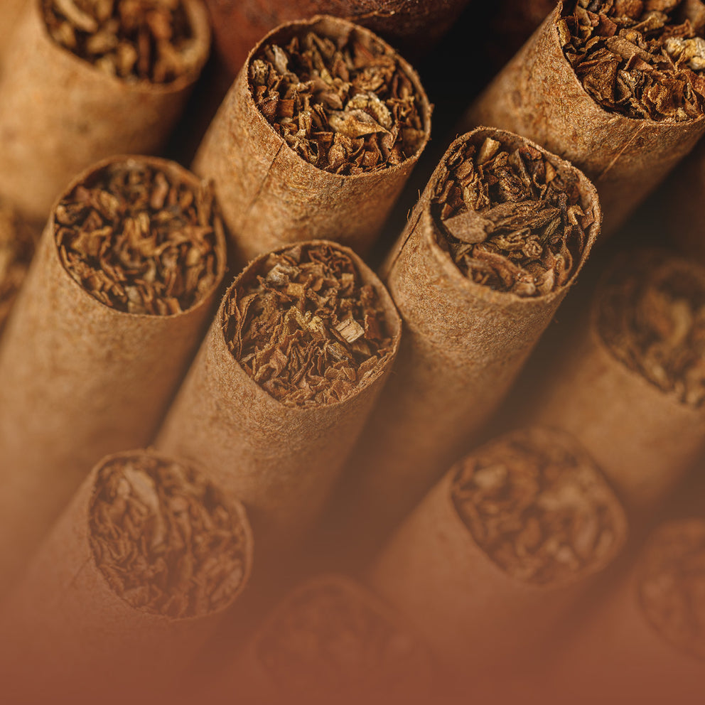 Zigarren kaufen beim Profi – C-cigars